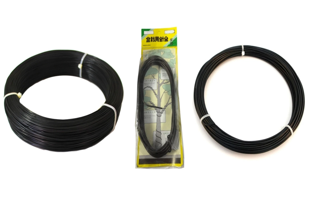 Bonsai Training Wire for Beginners | Sizes, Types & How to Use - Miyagi ...
