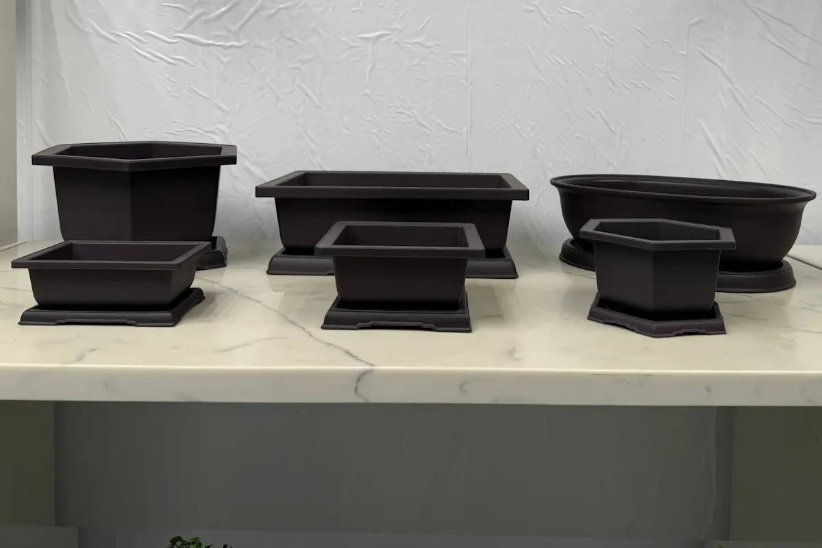 Training Pots for Bonsai: Beginner’s Guide to Choosing the Right Bonsai ...