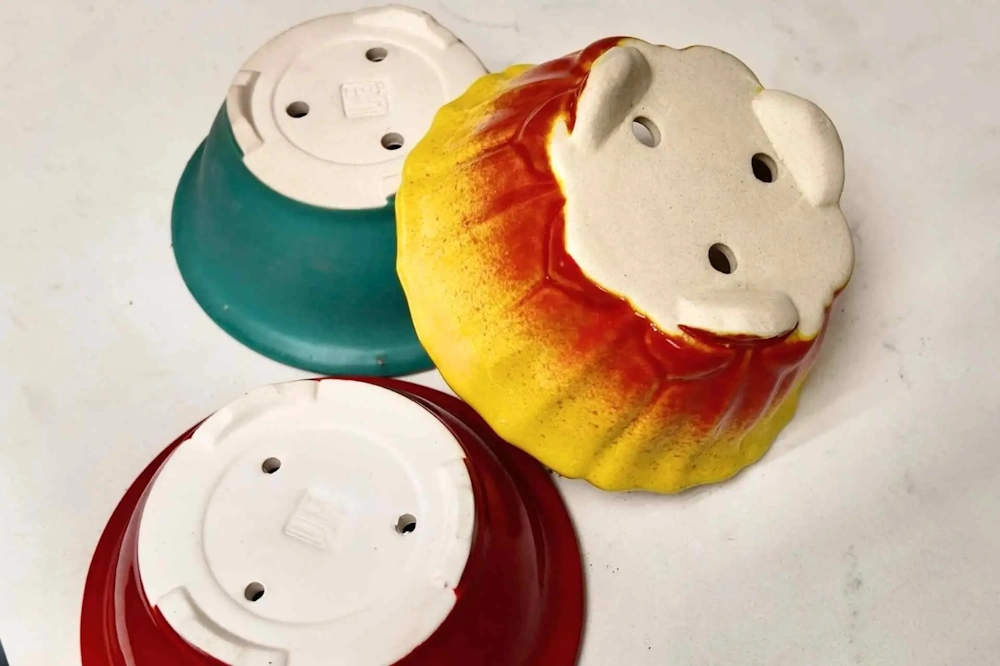 Do Bonsai Pots Need Drainage Holes? (Yes, Here’s Why It Matters ...