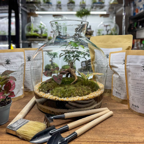 Terrarium M Tropical Forest Kit H: 26cm