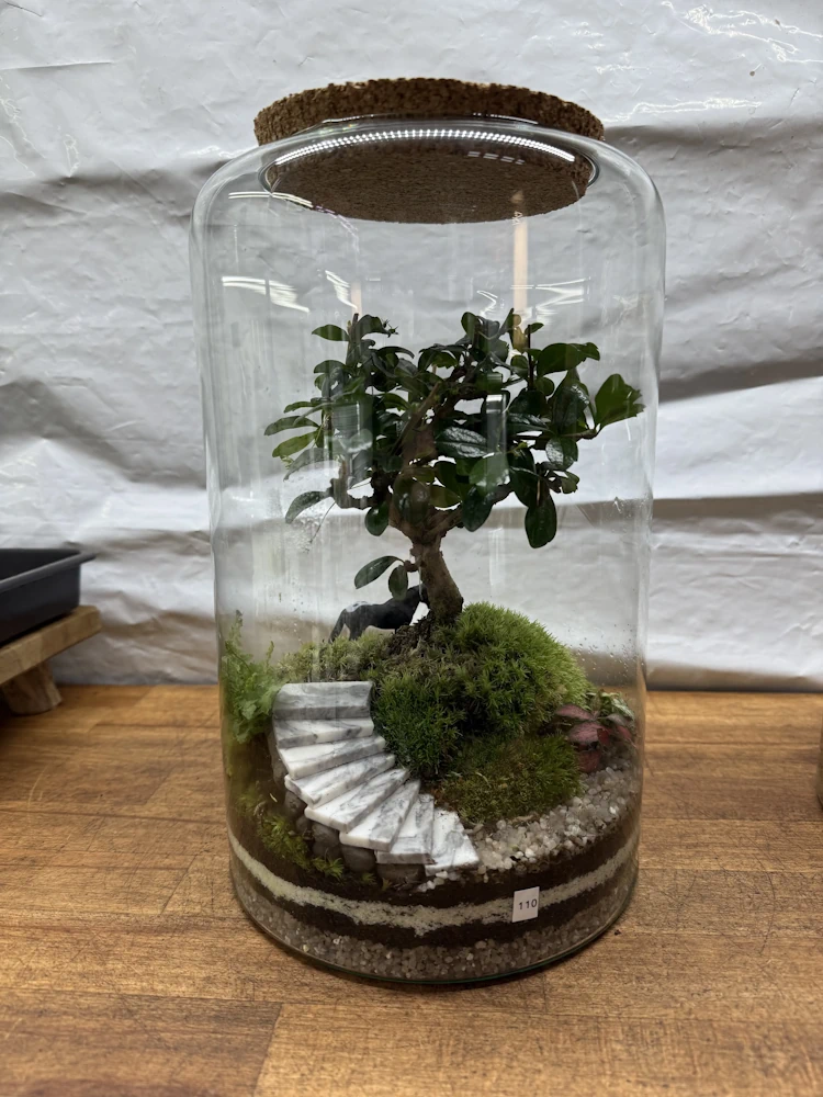How to Make a Bioactive Terrarium - Miyagi Bonsai