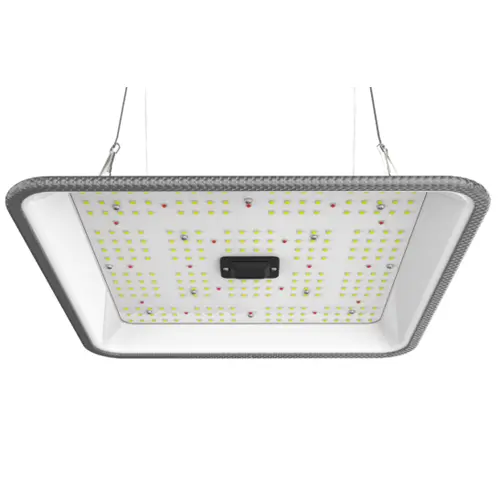 Bright 80W LED Grow Light - Miyagi Bonsai