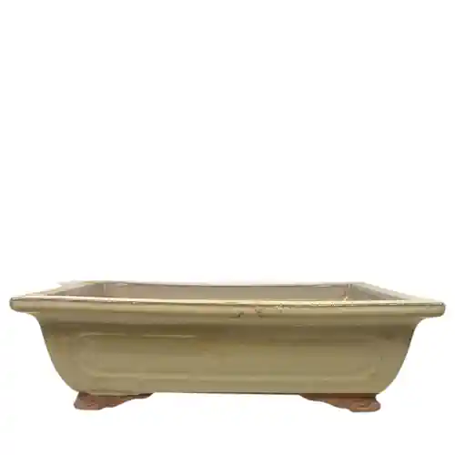 Tongrae Cream Rectangle Ceramic Pot 30cm - Miyagi Bonsai